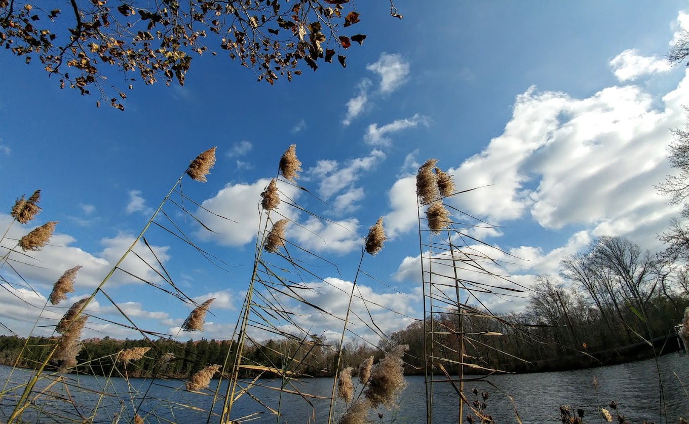 Scotland Run Park | Visit South Jersey