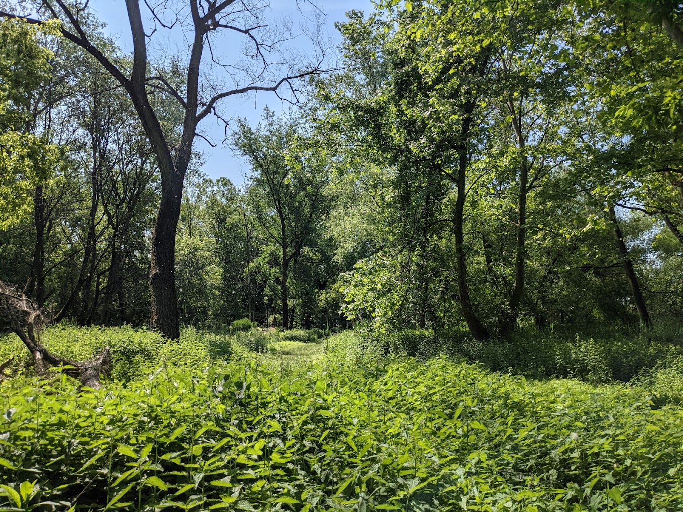 Palmyra Cove Nature Park in NJ | Birding, STEM, & Nature Trails Near ...