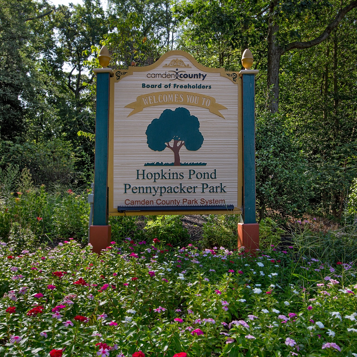 Hopkins Pond | Visit South Jersey