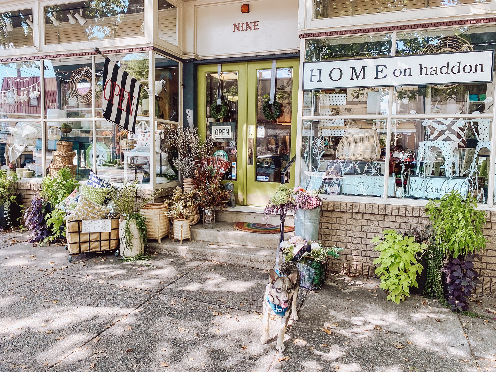 Home on Haddon | Visit South Jersey