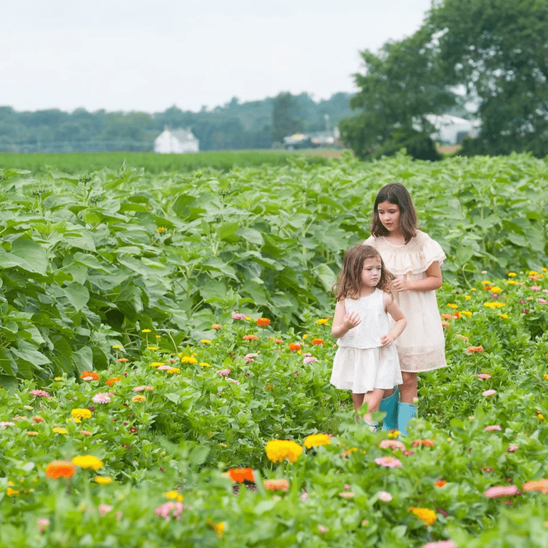 Flower Farms in South Jersey | Flower Picking Fields & Orchards