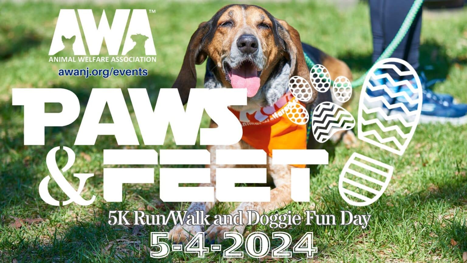 AWA Paws & Feet 5K and Doggie Fun Day | Visit South Jersey