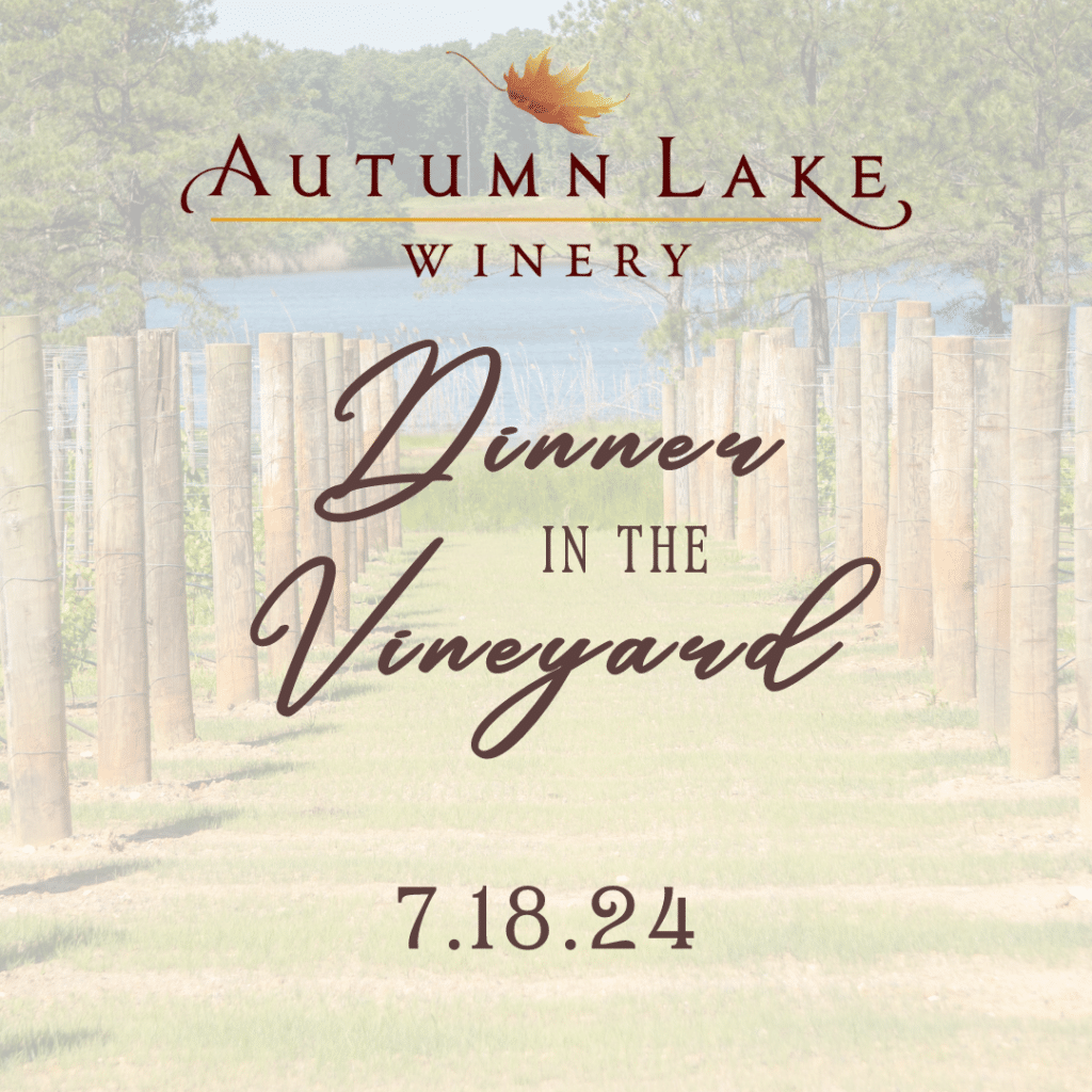 Dinner in the Vineyard | Visit South Jersey