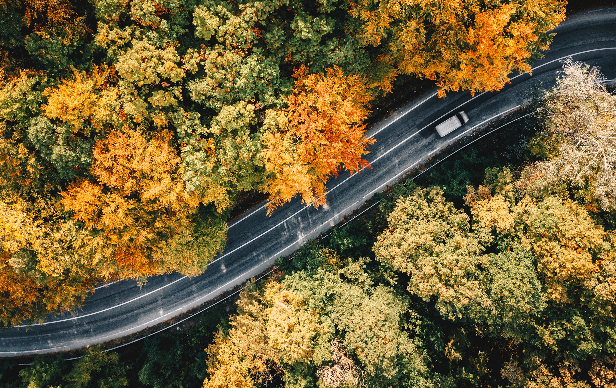 Visit South Jersey | Explore Where To Stay, Eat, & Play in South NJ