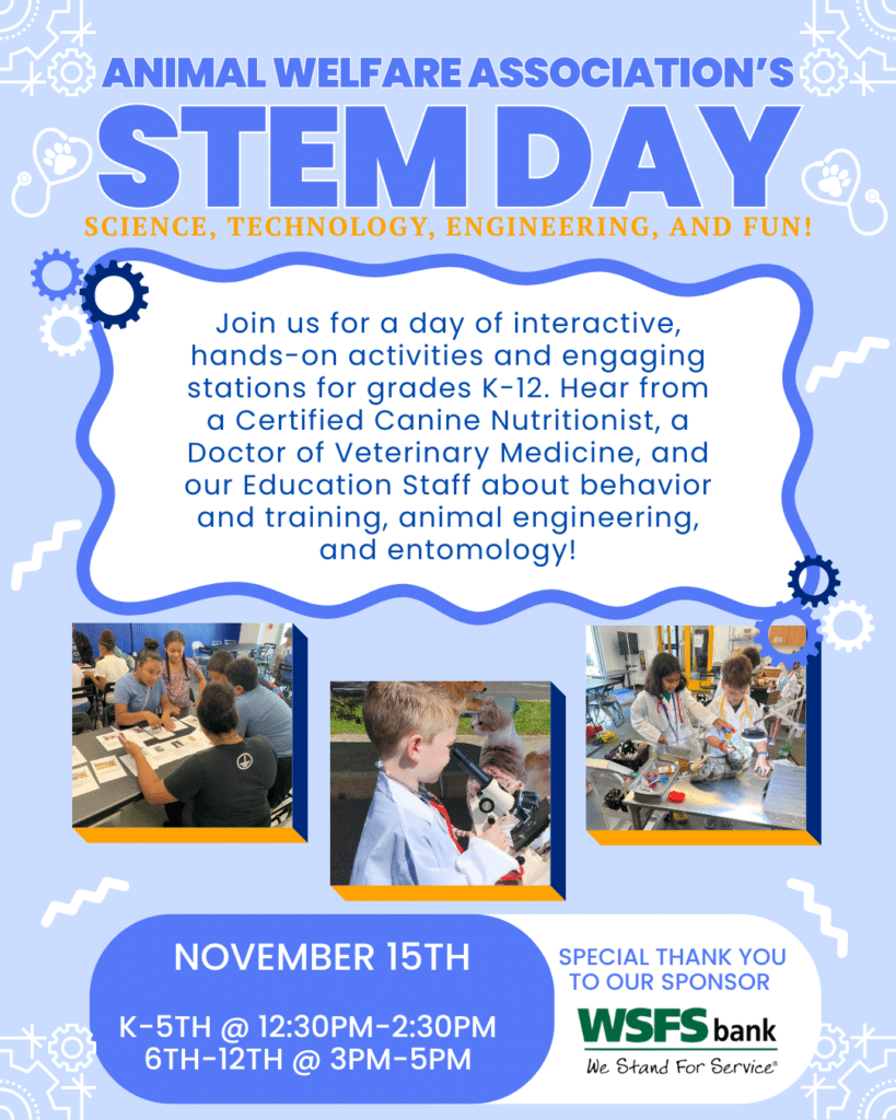 STEM Day | Visit South Jersey
